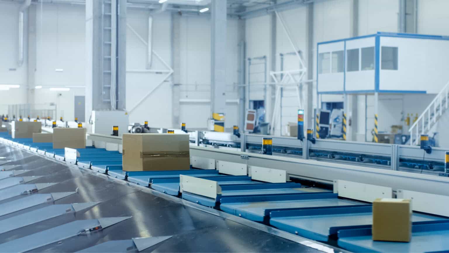 Distribution Conveyors and Sorters